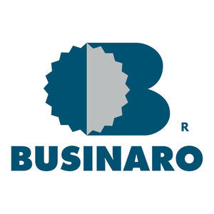 BUSINARO CK 300 TH Knife Grinders - MachineTools.com